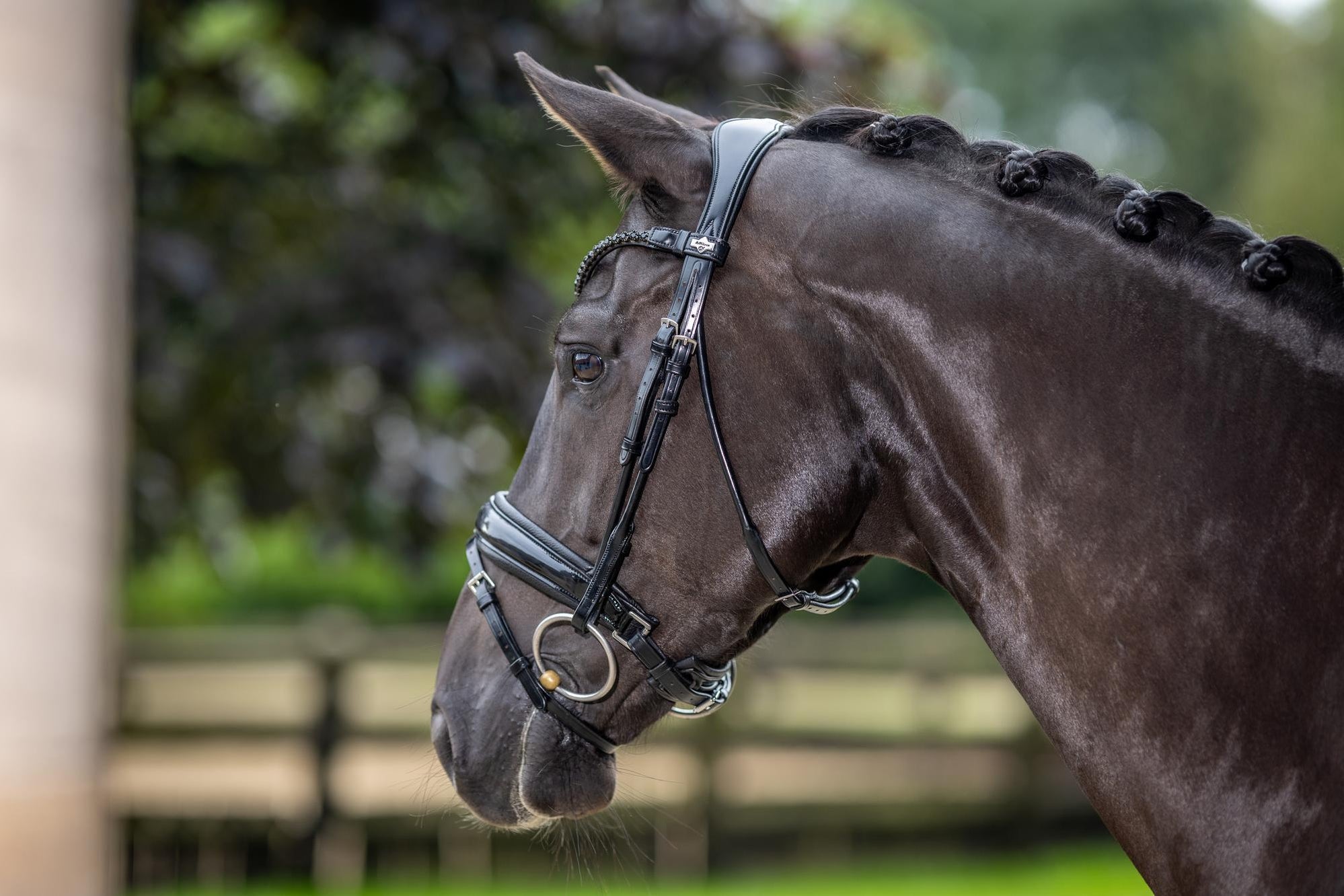 Bridle Basics — Happy Horse Tack Shop