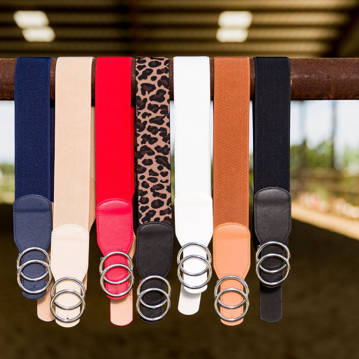 Canter Culture Double Circle 2" Elastic Belt — Happy Horse Tack Shop