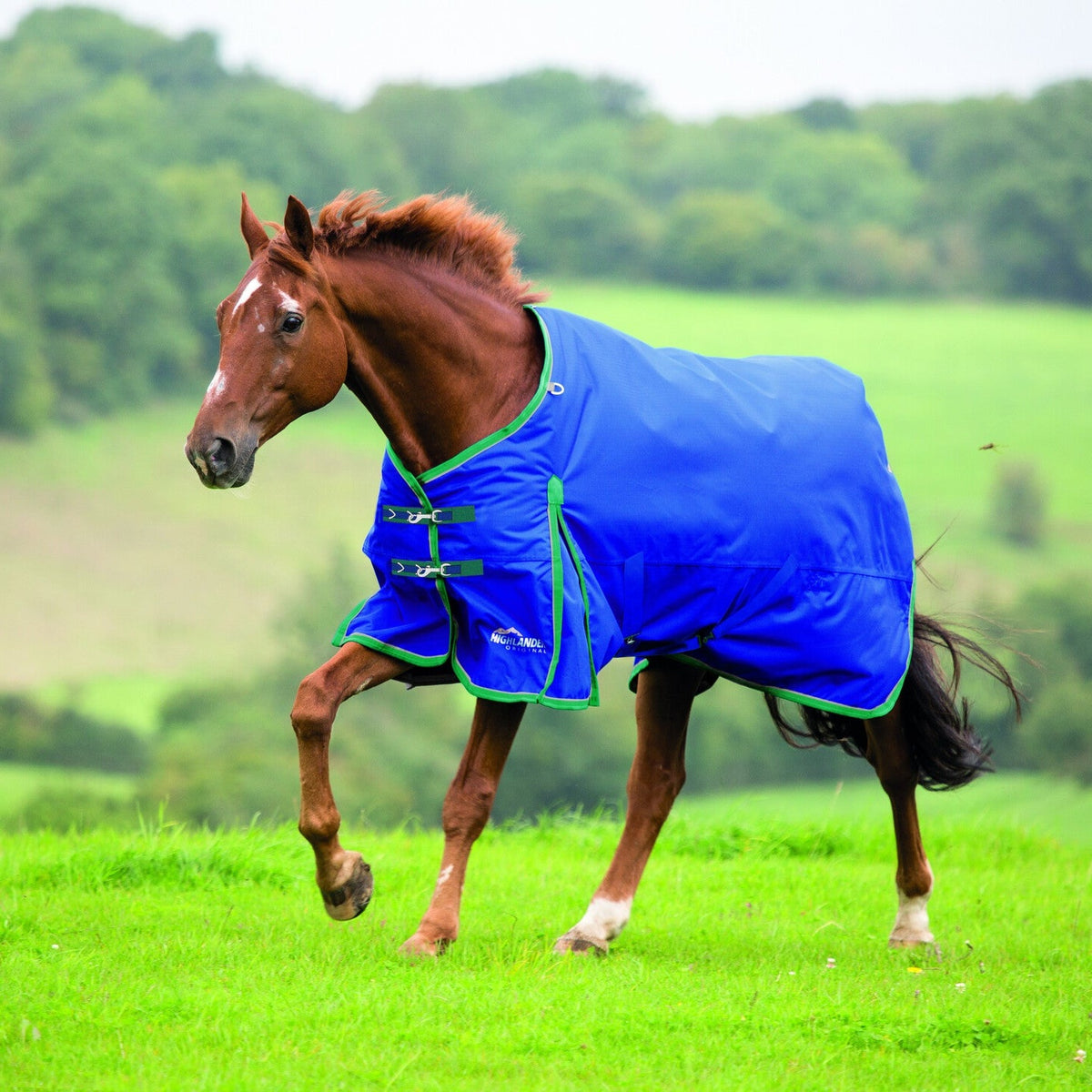 Shires Highlander Plus 200g Medium Standard Neck — Happy Horse Tack Shop