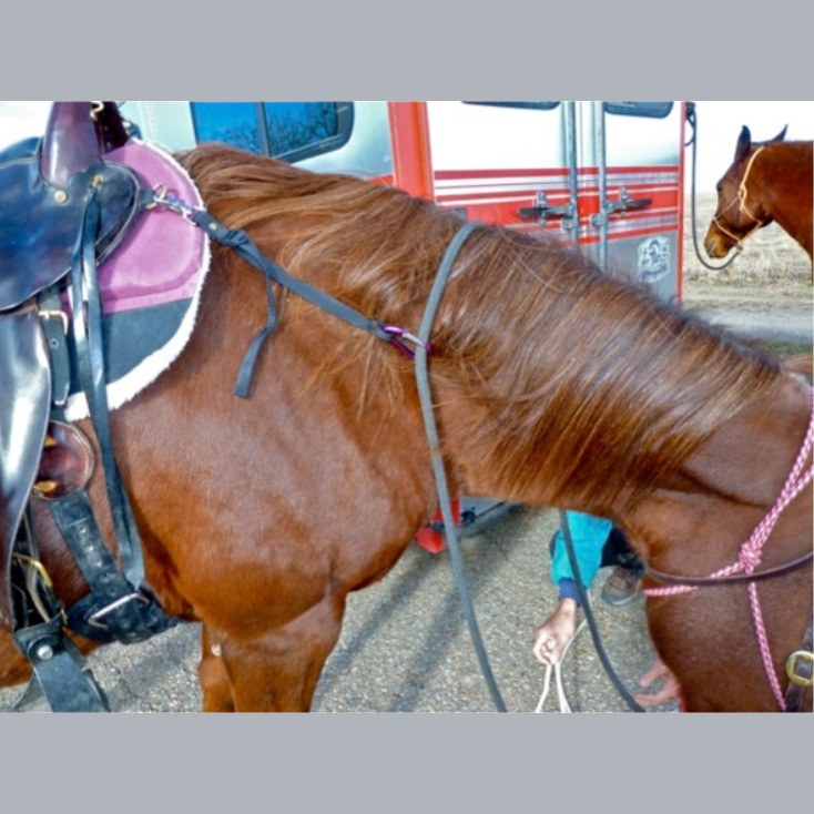 Max Tack 3/4" Rein Safe — Happy Horse Tack Shop